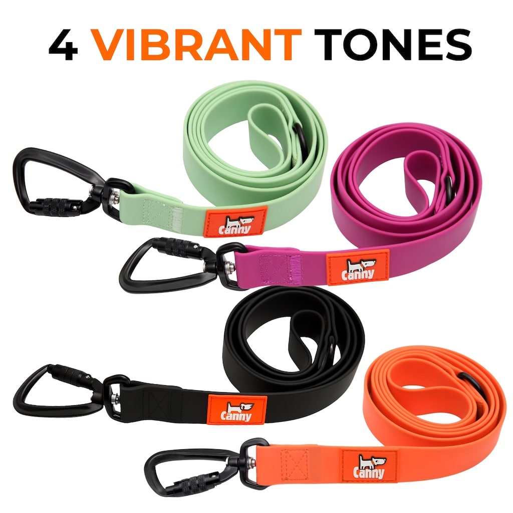 Buy Canny Dog Training Leads | All Colours | Fast Delivery